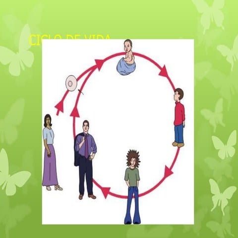 Ciclo de vida | PPTX