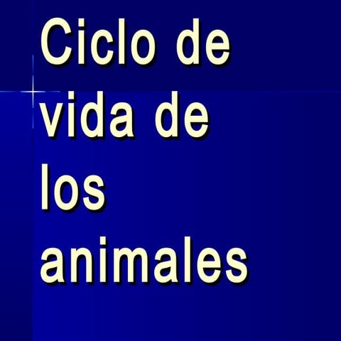 Ciclo de vida de los animales | PPT