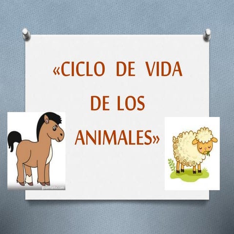 Ciclo de vida de los animales | PPTX
