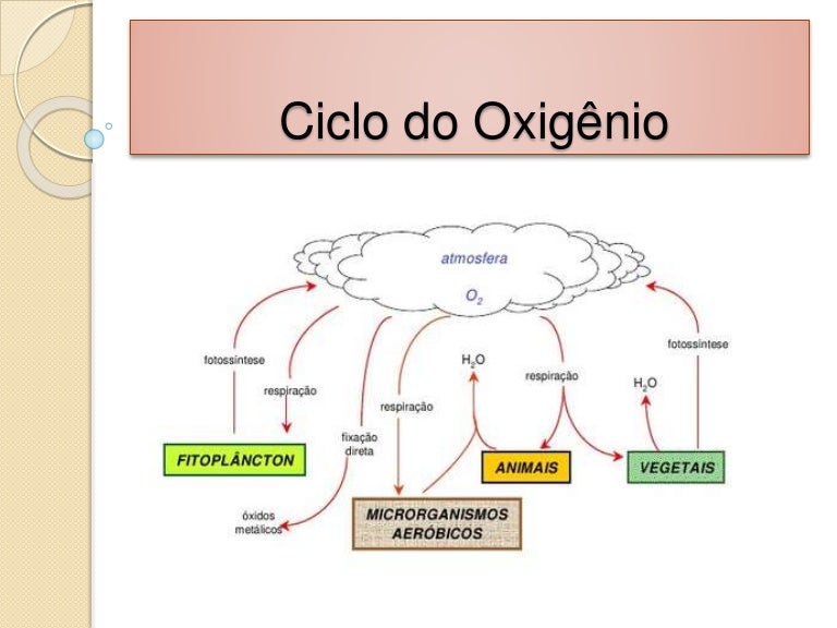 Ciclo do oxigênio