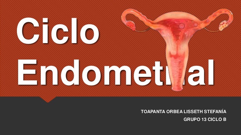 Ciclo endometrial