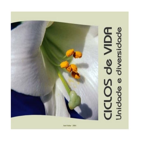 Ciclos De Vida(3) | PPT