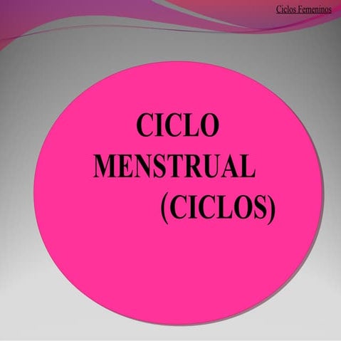 Ciclos femeninos | PPT