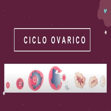 Ciclo cervical | PDF
