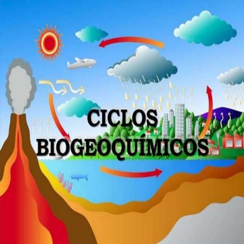 ciclos biogeoquimicos apresentar.ppt