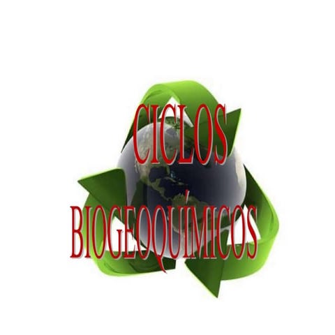 Biologia- Virus | PPTX