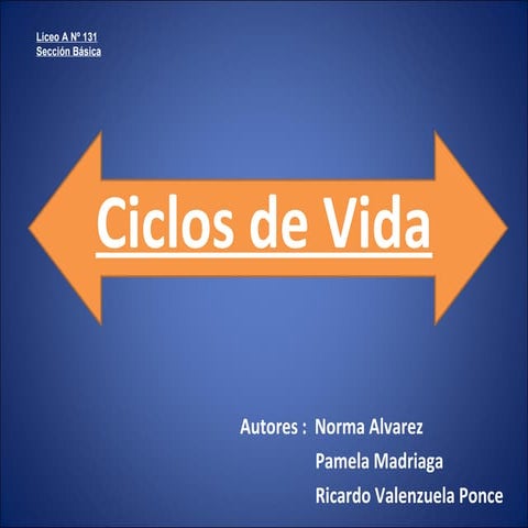 Ciclos de vida | PPT