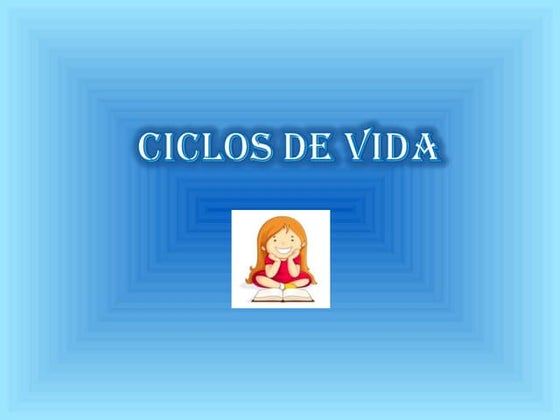 Chip chicklets | PDF