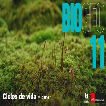 Ciclos de vida I.pptx