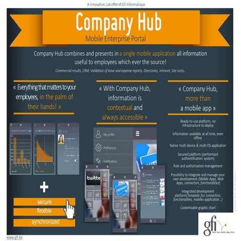 GfiBelux Company Hub | PPTX