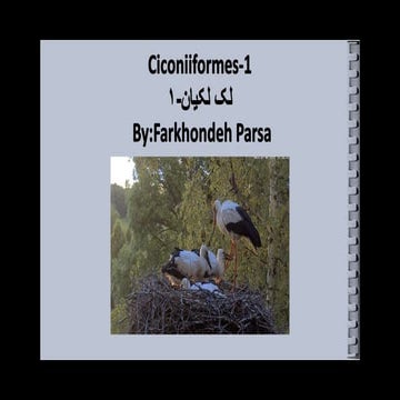 Ciconiiformes -1 | PPTX