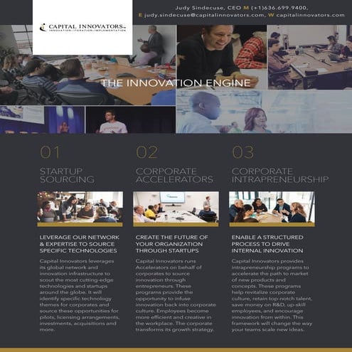 Capital Innovators Accelerator Programme Q1 2020 | PDF