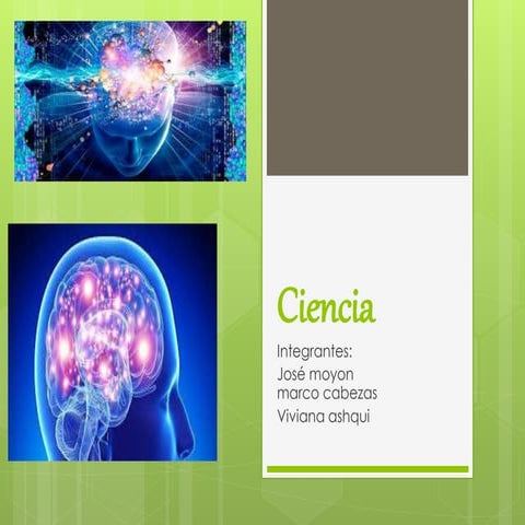 Ramas de las ciencias | PPTX