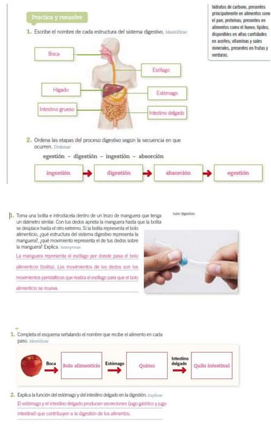 5 básico-ciencias-naturales-guía-7 (1) | PDF