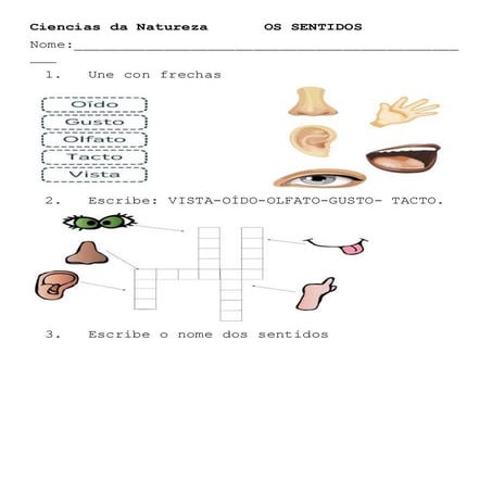 Ficha de revisões gerais | DOC