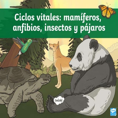 Ciencias naturales ciclo de vida martes 11 de junio | PPTX