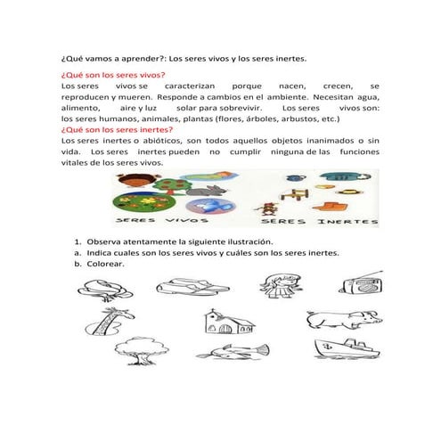 Ciencias Naturales 2 para grado segundo primaria | DOCX