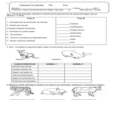 Ciencias naturales caracteristicas de los animales | DOC