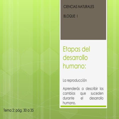 Ciencias naturales etapas del desarrollo humano | PPTX