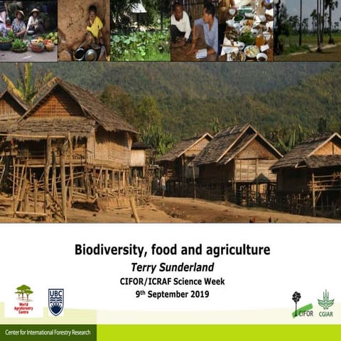Biodiversity, food and agriculture | PPTX