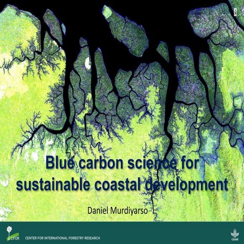 Blue carbon science for sustainable coastal development | PPTX