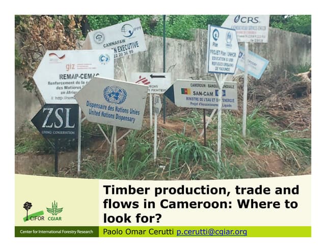 Timber production, trade and flows in Cameroon: Where to look for ...