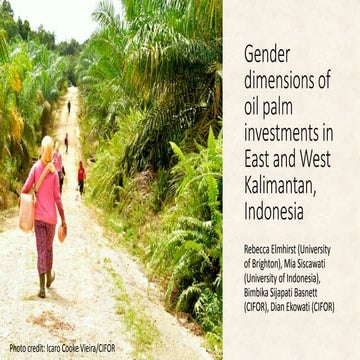Gender dimensions of oil palm investments in East and West Kalimantan ...
