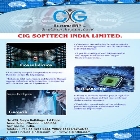 CIG Softtech India | PDF