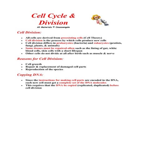 AS Level Biology - 5/6) Mitotic Cell Cycle and Protein Synthesis | PPTX