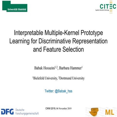 Interpretable Multiple-Kernel Prototype Learning for Discriminative ...