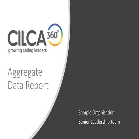 CILCA 360 sample aggregate report | PDF