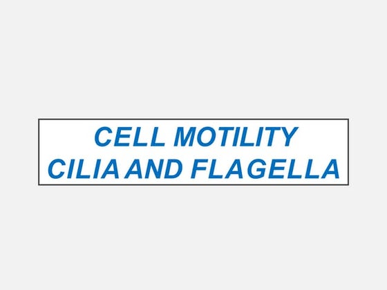 locomotion in protozoa.pptx | Biological Sciences | Science