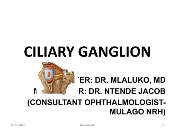 Ophthalmology pupillary reflex pathway 3rd year mbbs | PPTX