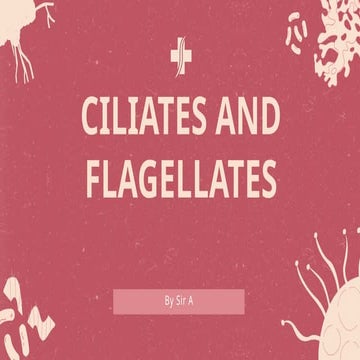 Ciliates and Flagellate for pasitology lecture | PPT
