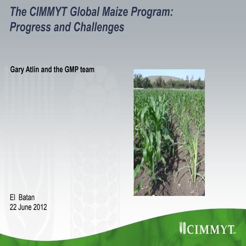 The CIMMYT Global Maize Program: Progress and Challenges | PPTX