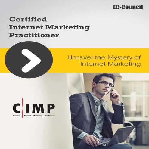 Internet Marketing Practitioner Course | PDF