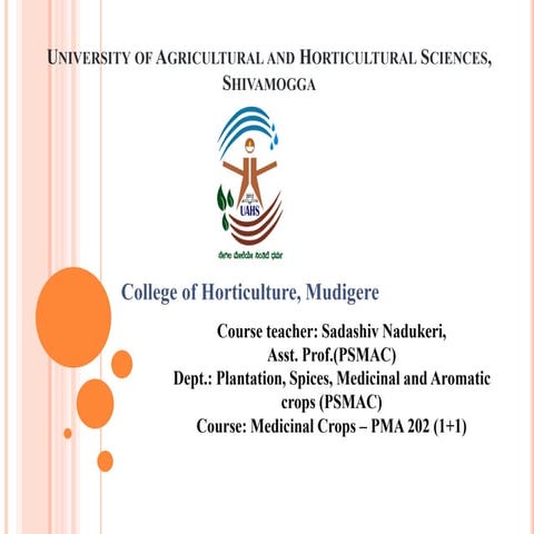 Cinchona by Mr. Mohit | PPTX