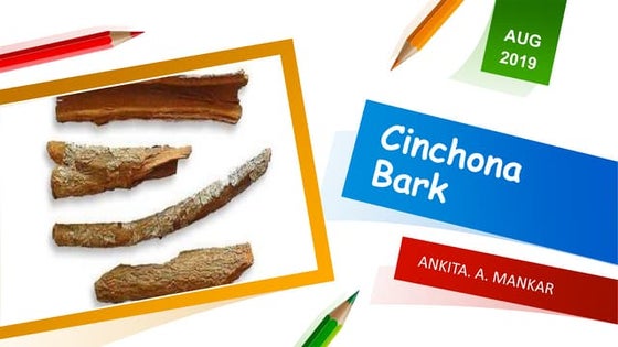 Cinchona by Mr. Mohit | PPTX | Chemistry | Science