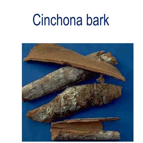Cinchona bark Section 1, part 2, Cinchonna bark.pdf