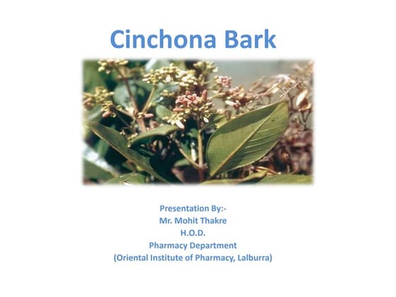 Opium: Biological source, Cultivation and collection, Morphology | PPT