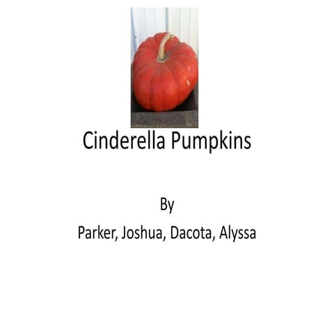 Cinderella pumpkins | PPTX