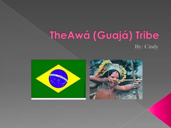 The Amazon Rainforest | PPTX | Geography | Science