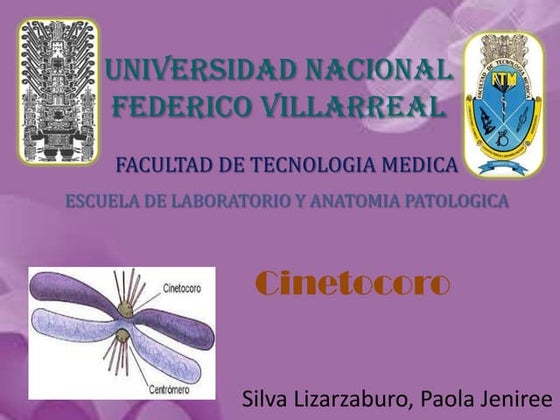 Partes de un cromosoma | PPTX