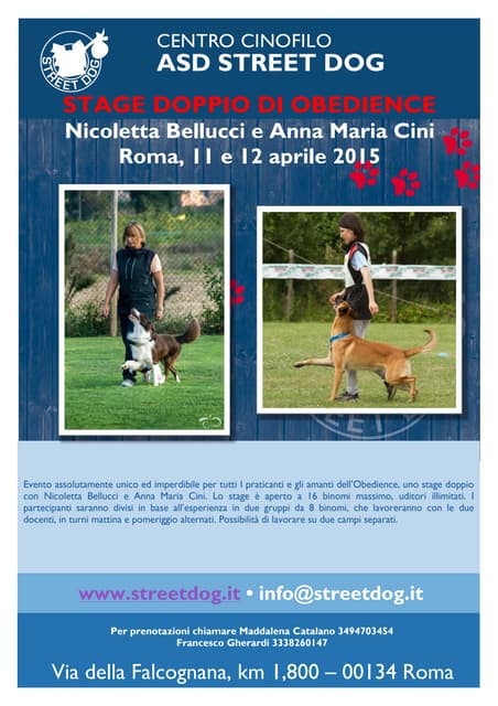 Stage con Nicoletta Bellucci | PDF