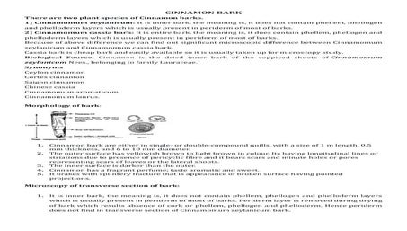 Cinnamon Bark Microscope