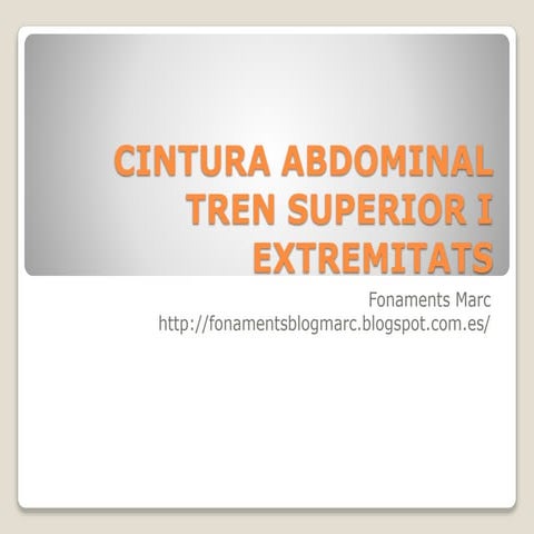 Cintura abdominal tren superior i extremitats | PPT