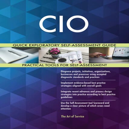 CIO: Standard Requirements | PDF