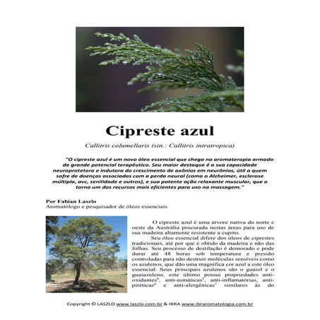 Cipreste azul callitris_intratropica | PDF