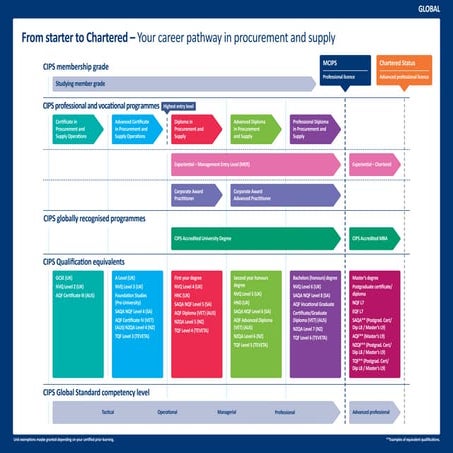 Cips step up-startertocharter_pathway_global | PDF