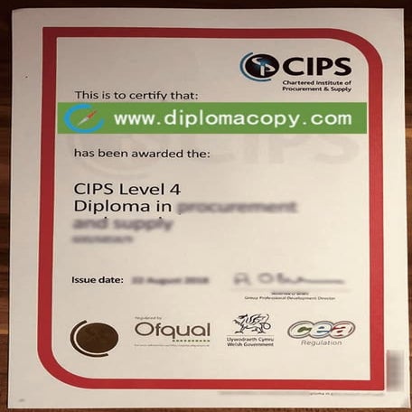 CIPS Certificate | PDF